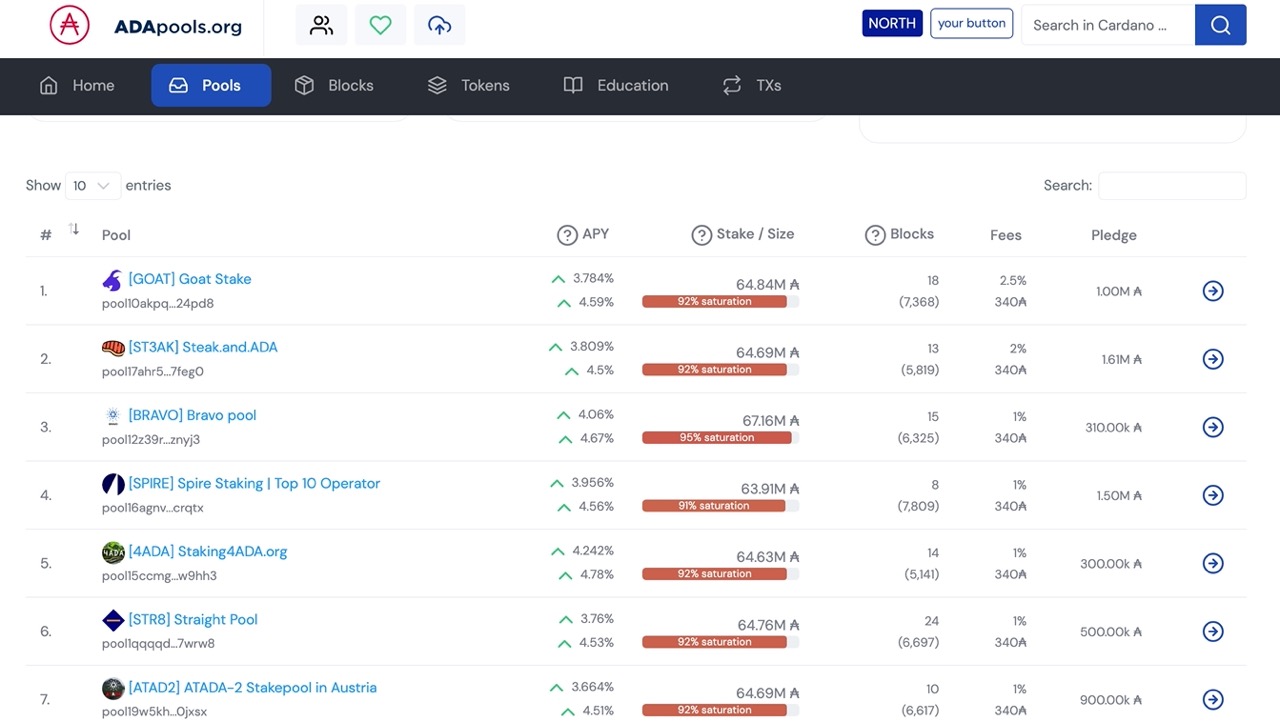 Cardano Staking: Erklärung und Anleitung