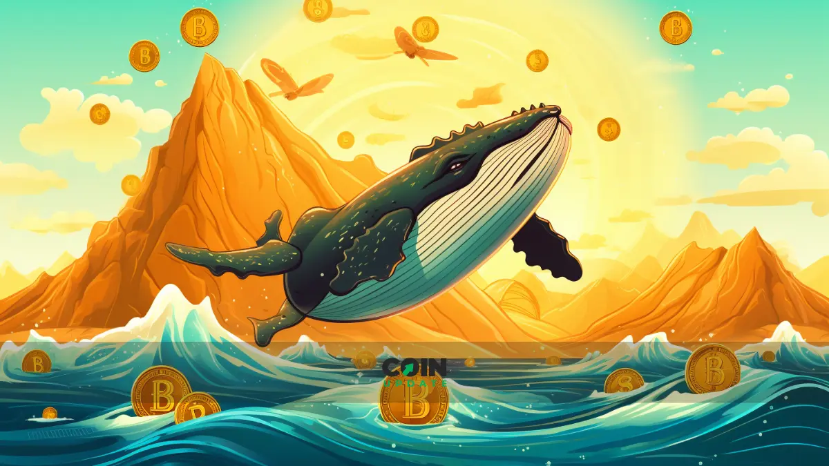 Bitcoin-Wal-Indikator: Zuletzt gesehen vor 480 % Anstieg in Mitte 2020